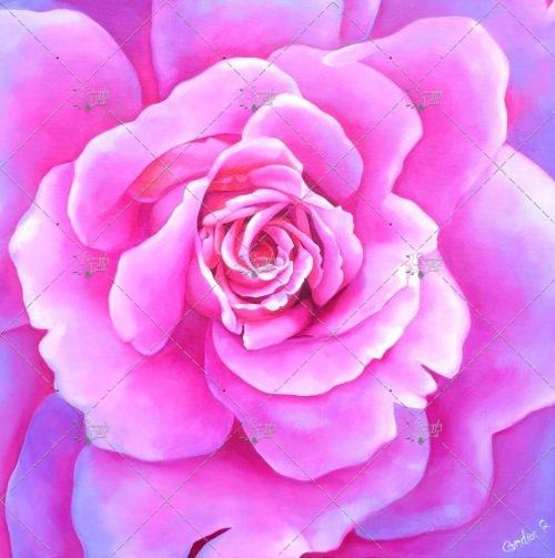 Candice Rogers – Crimson Rose